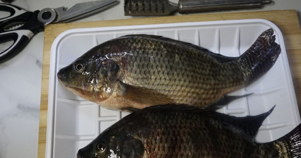 How To Clean Tilapia - Pinoy Family Recipes