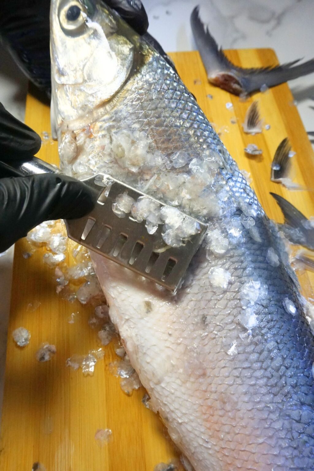 How to Know if Fish is Fresh Before You Buy - Pinoy Family Recipes