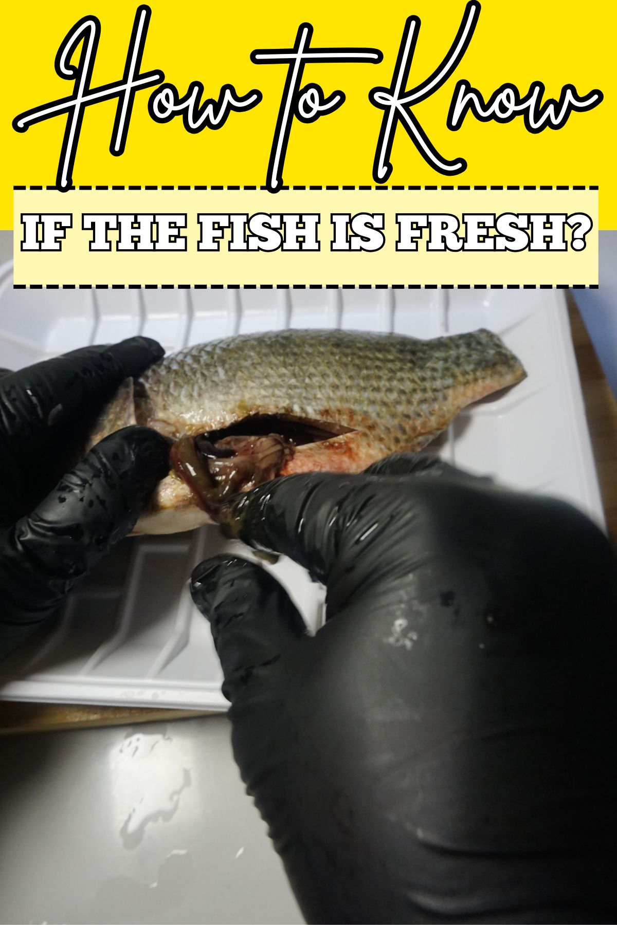 How to Know if Fish is Fresh Before You Buy - Pinoy Family Recipes